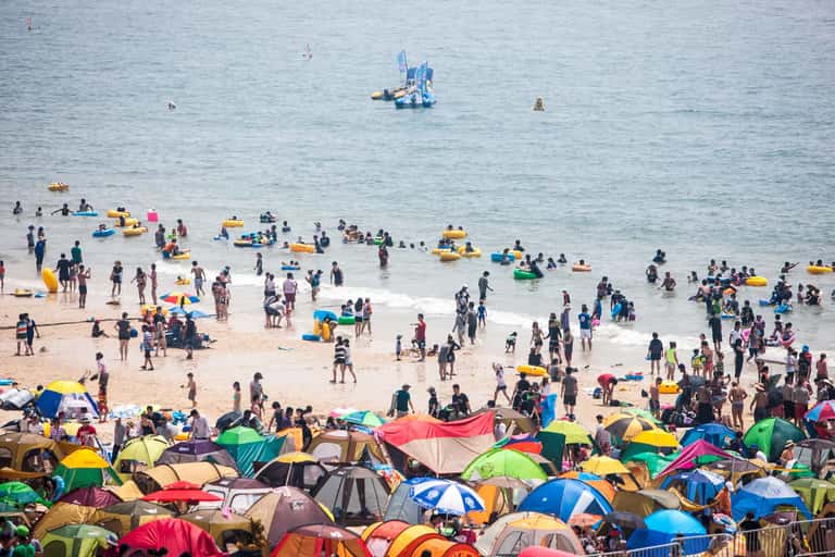 Boryeong Mud Festival 2026 — Daecheon Beach Turns Into One Giant Mud ...